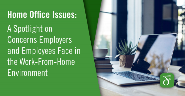Home Office Issues: A Spotlight on Concerns Employers and Employees ...