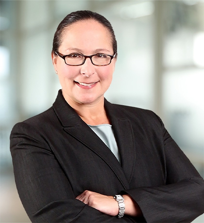 Knopf Logo Knopf Doubleday Publishing Group The New Digital Age By